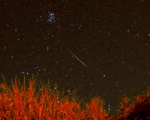 Perseid meteors set to light up 12-13 August skies – Astronomy Now