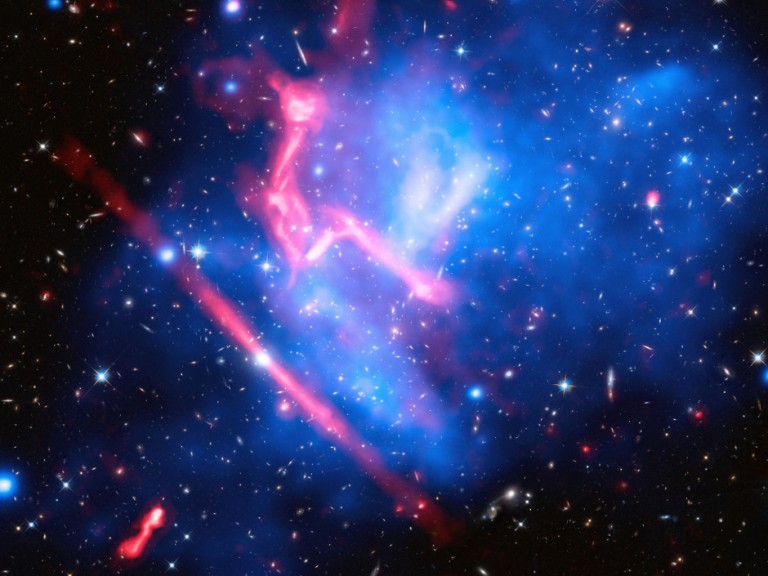 Disco lights from a galaxy cluster seen with multi-spectral eyes ...