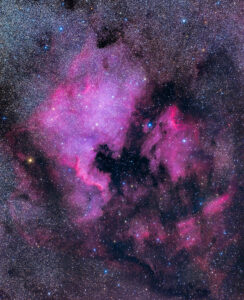 North America Nebula is a true likeness – Astronomy Now