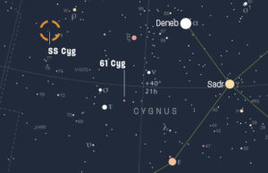 Cygnus’ famous stellar duo: 61 Cyg and SS Cyg – Astronomy Now